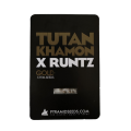 Tutankhamon × Runtz – THC 27% & Sabor Premium | Gold Line